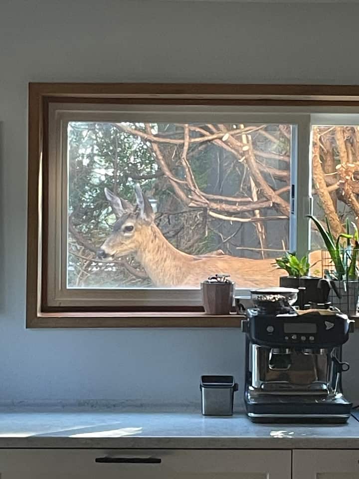 Deer Haven - Burnaby