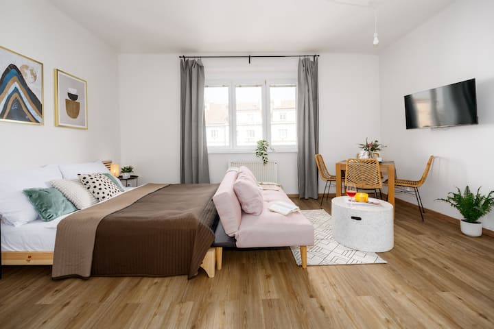Open-plan Studio W/ Netflix Near Vyšehrad Castle -