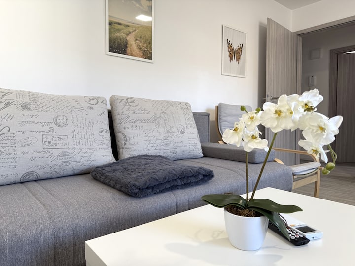 A Cute Apartment For 2 - Bled