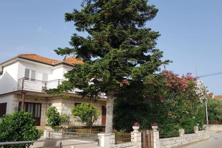 Apartman Petar - 코르출라 섬