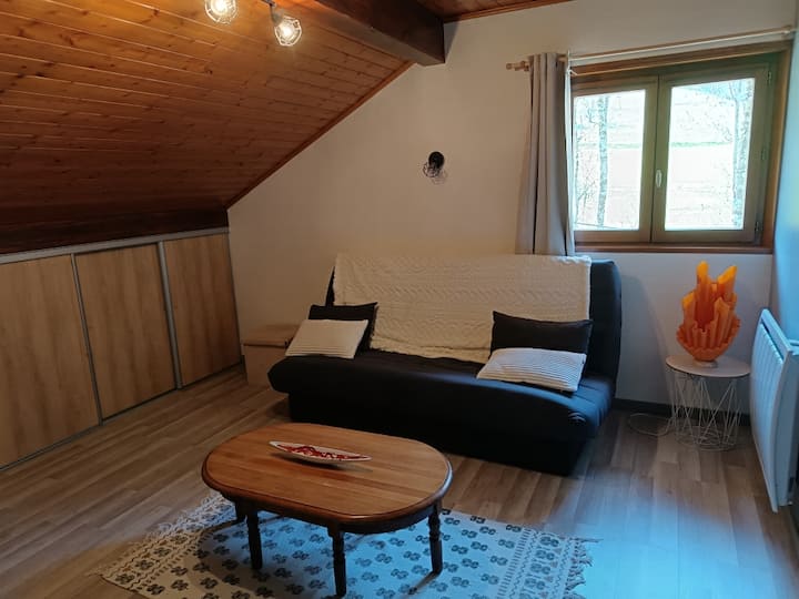 Appartement Dans Une Maison - Bellevaux