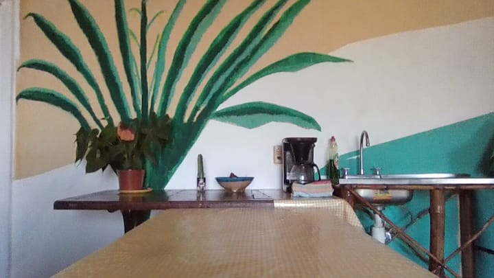 El Bamboo, Casa Sirena. Chacala - Chacala