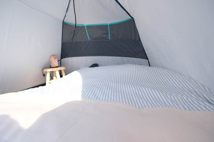 It's A Tent - On Top Of A Boat! - Amsterdam