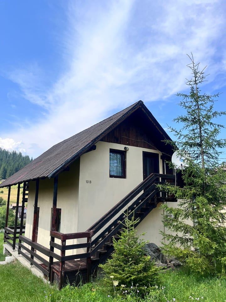 Casa De Vacanță E - Borsec