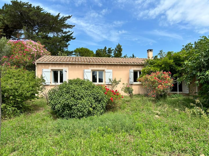 Casa Tuch Pays Cathare - Tuchan