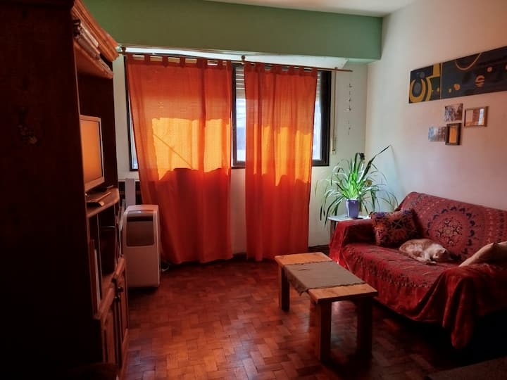 Departamento Céntrico Y Amplio - Santa Fe