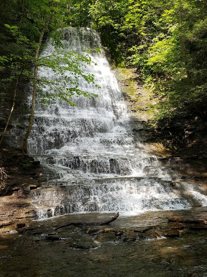 Woodland Hideaway - Naples, NY
