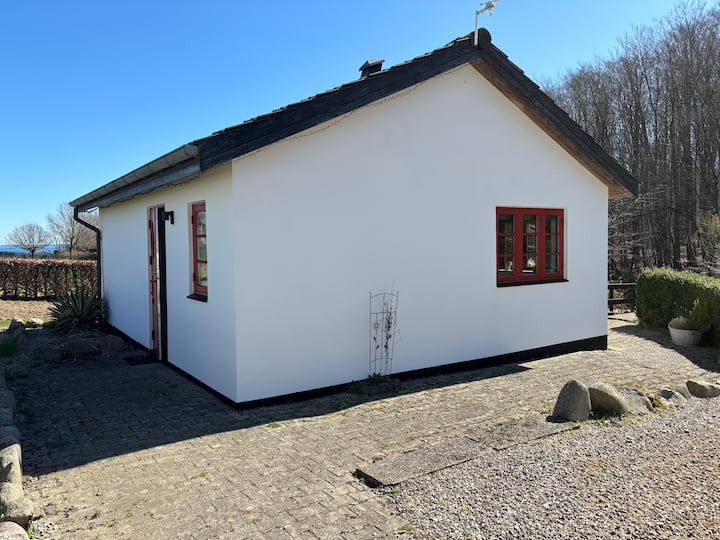 Lille Hus Ved Skov Og Strand - Denmark