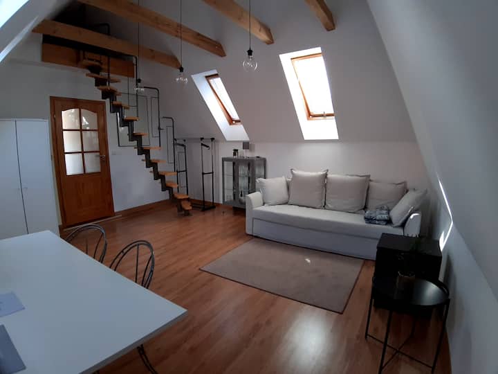 Loft Neptun - Danzig