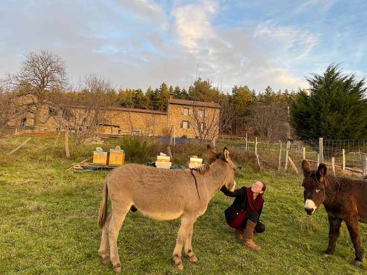 Ardèche : Gîte Nature, Ferme - Ardèche