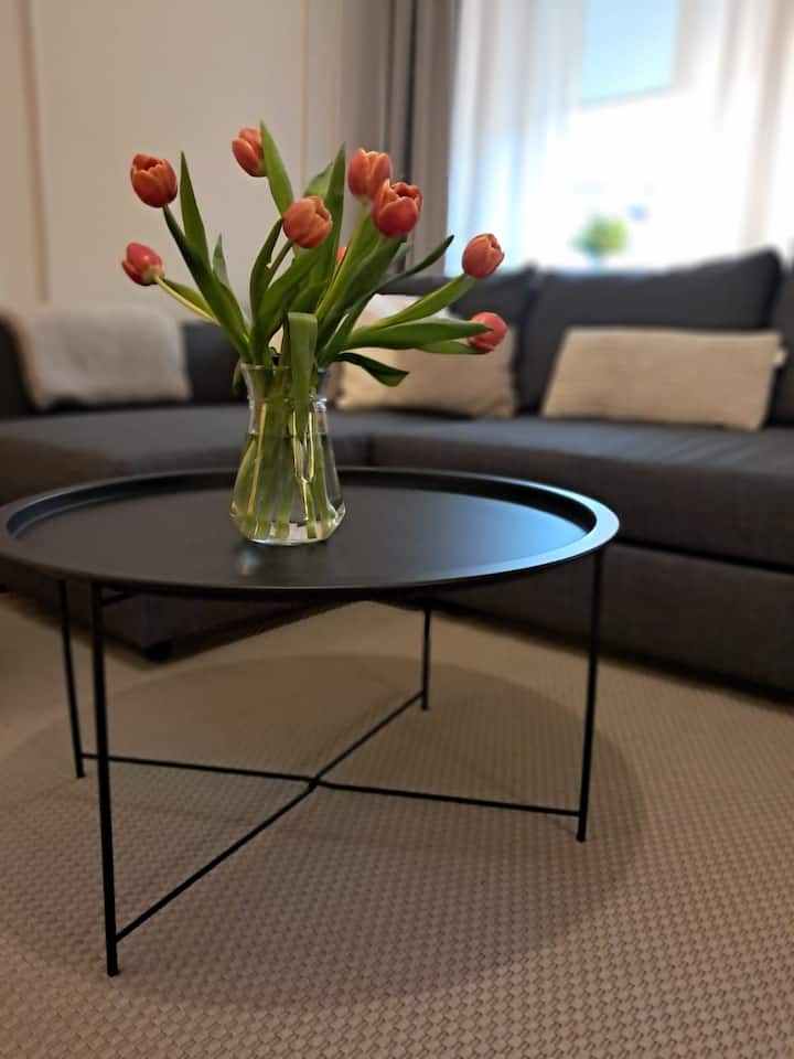 Cherry Apartment - Torun