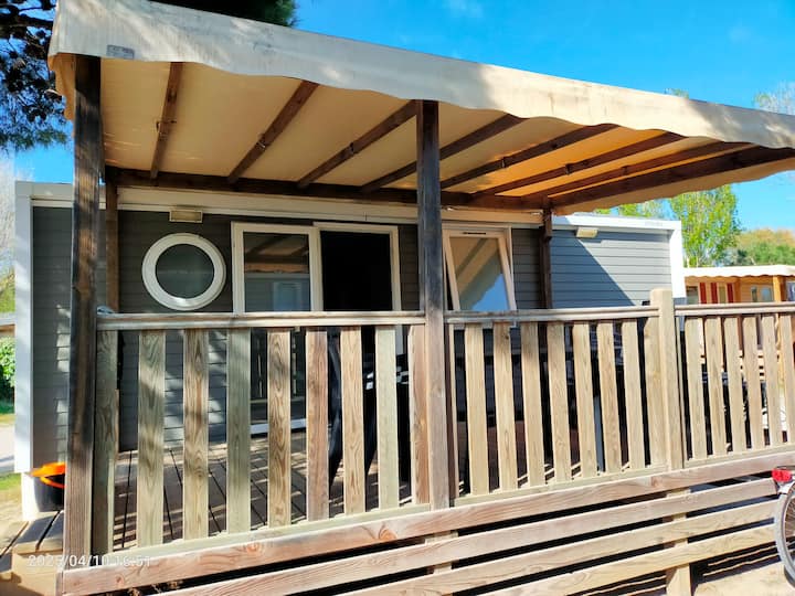 Sous Le Soleil, En Bord De Mer. - Torreilles