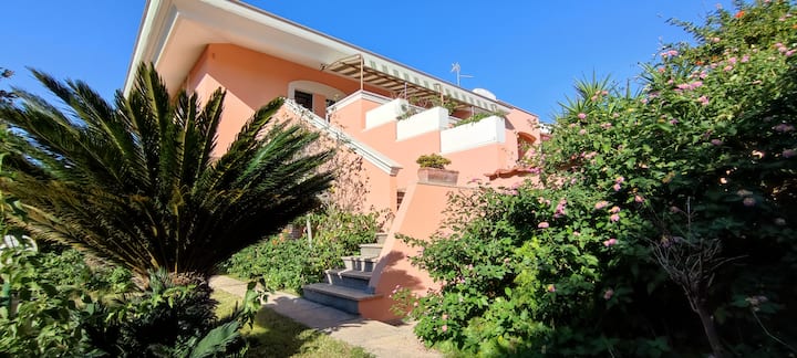 Katy's Garden - Anzio