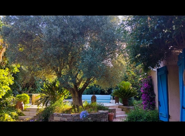 Chambre D'hôte Près De St Tropez - Cogolin