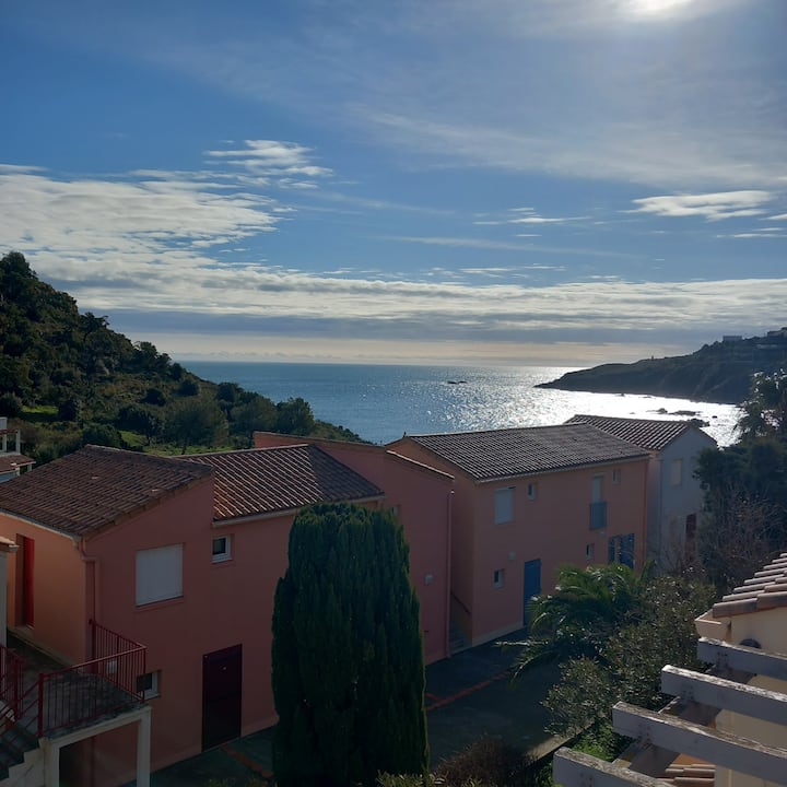 Bel Apt T2 Vue Mer Avec Terrasse - Cerbère