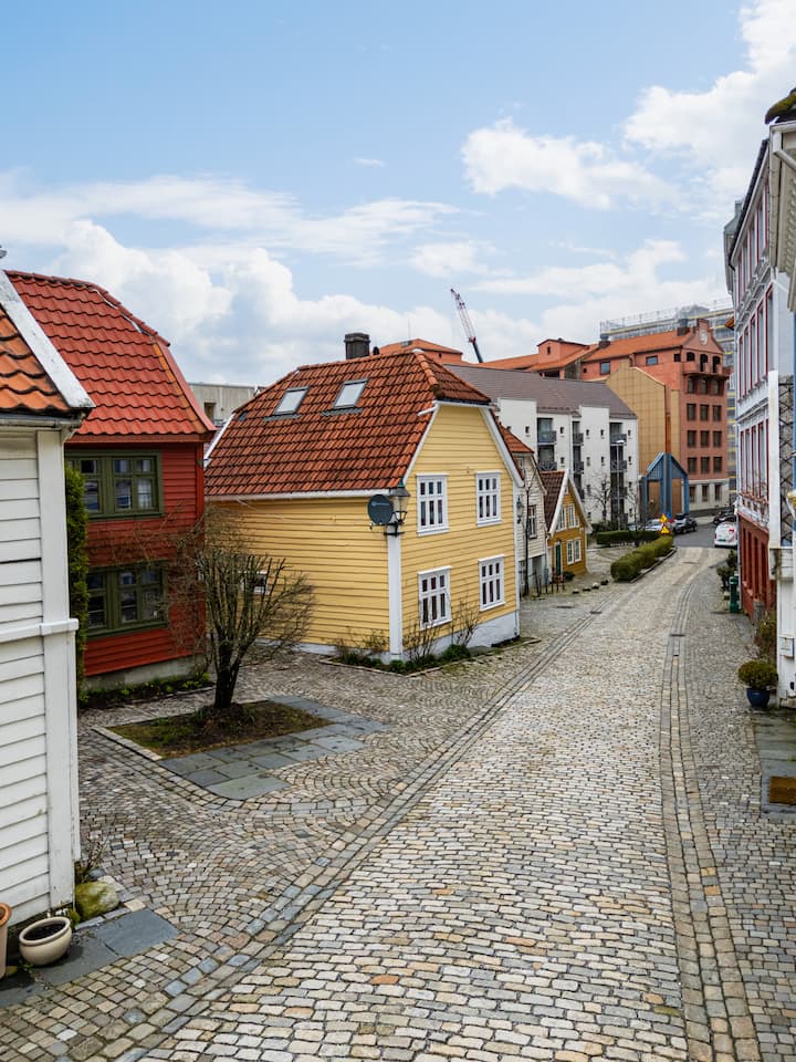 Sjarmerende Leilighet I Bergen Sentrum - Bergen