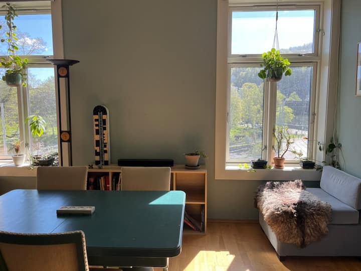 Sjarmerende Leilighet I Gamlebyen - Oslo