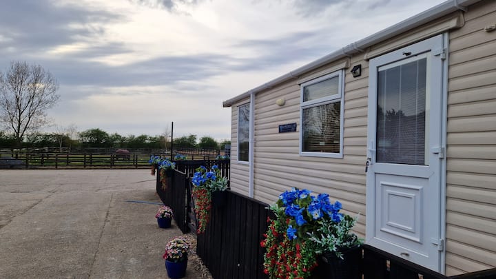 A Haven For Horse Lovers - Driffield