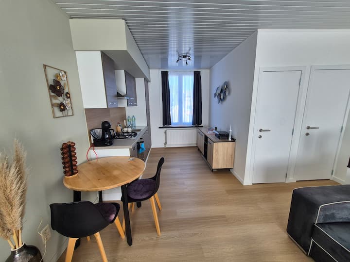 Superbe Duplex En Plein Centre. - Aalst