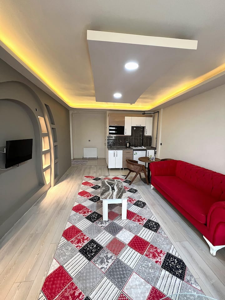 Alacaatlı Suit Günlük Kiralık - Koru