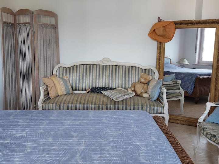 Une Spacieuse Chambre Vintage - Halle