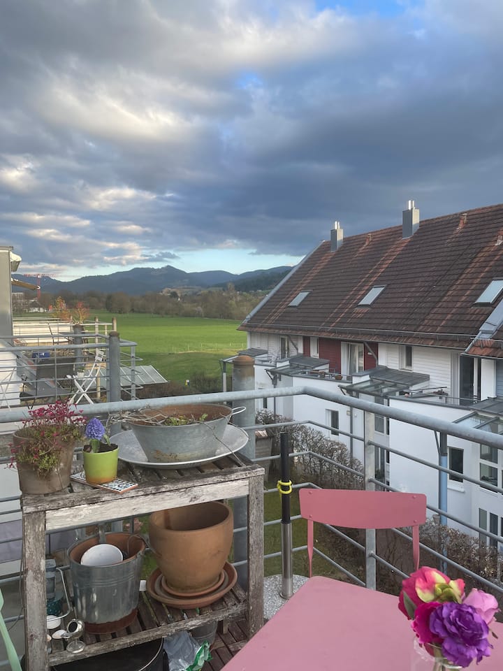 Helle Maisonette Wohnung - Freiburg im Breisgau