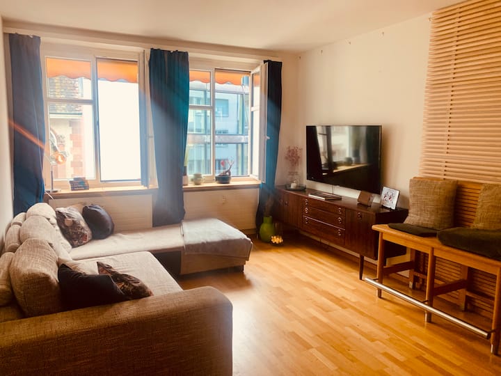 Cosy Stay In The Heart Of Basel - Basel