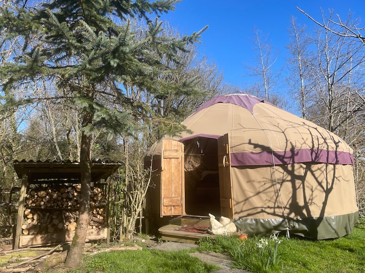 Wolf Moon Quiet Moon Yurt - Cardigan