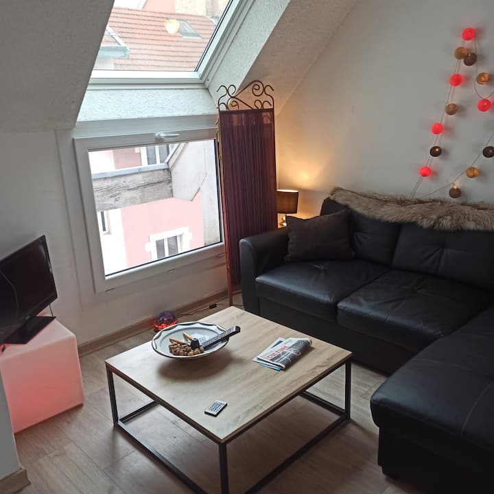 T3 En Triplex - Grenoble