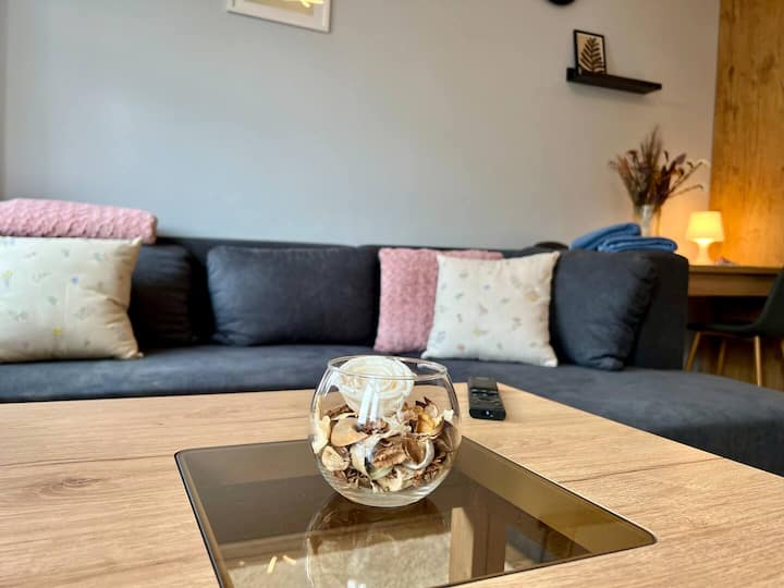 Atrakcyjne Mieszkanie ŁóDź Górna - Łódź