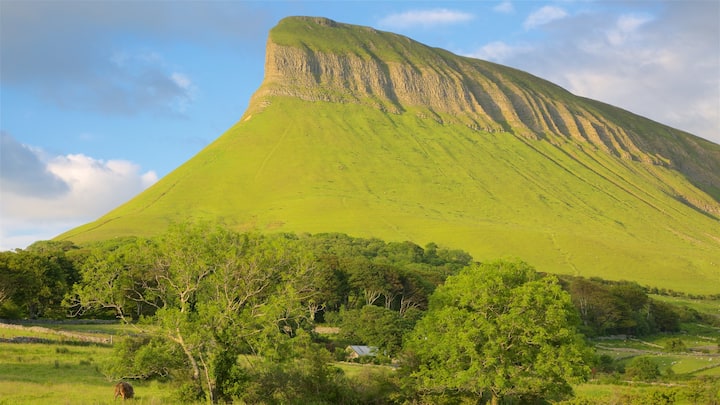 The Lofty Escape - Sligo