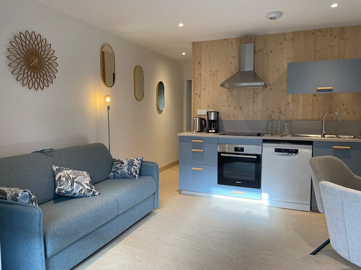 Bergeronnette- Rdc 1 Chambre - Saint-Amand-les-Eaux