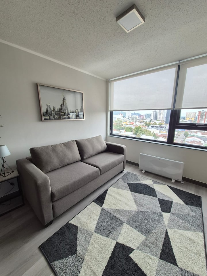 Departamento Nuevo Para 5 - Temuco