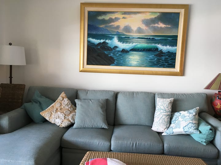 Stunning Views Of Pacific ! - Solana Beach, CA