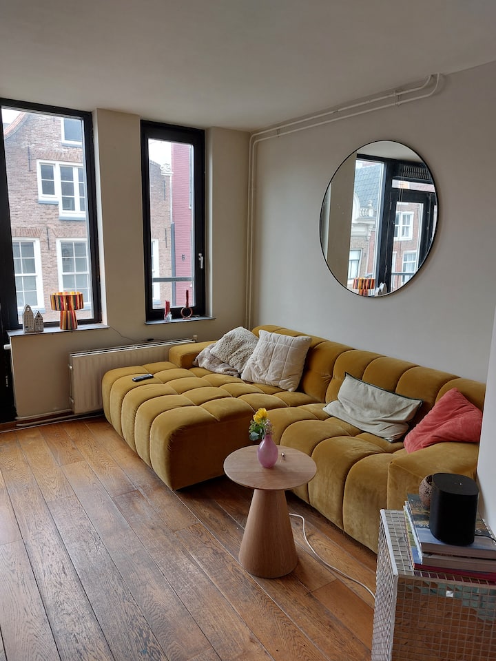 Ruim Appartement In Het Centrum - Amsterdam
