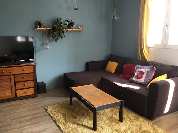 Appartement T2 îLe De Nantes - Nantes