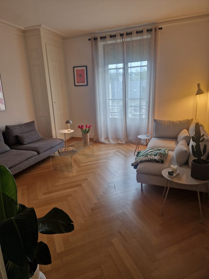 Cozy Place In Geneva City Center - Ginebra