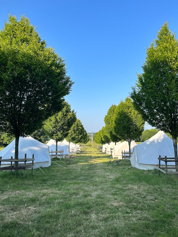 The Basil Tent - Chesterfield