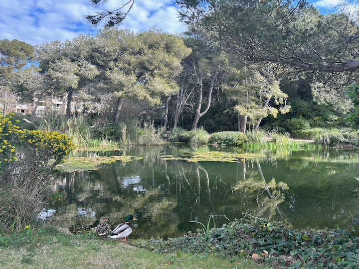 Appart Moderne, Plage à Pied - Six-Fours-les-Plages