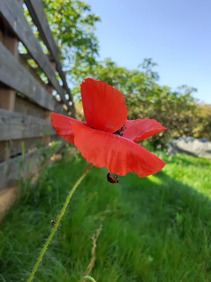 ÉVasion Nature – Maison Tout Confort Plain-pied - Aniane