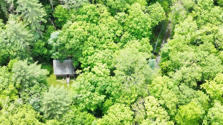 Cabin Forest Escape - Port Jervis, NY