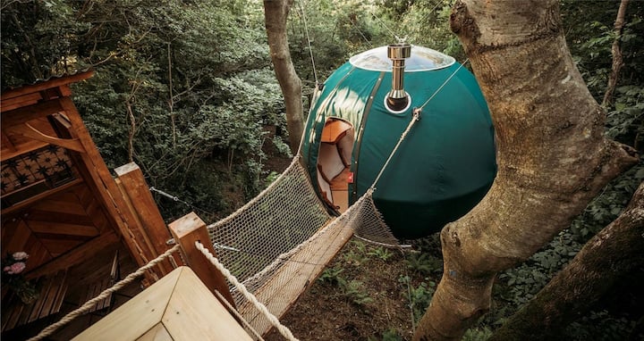 Rock Hall 'Re-tree Tent' - Harrogate