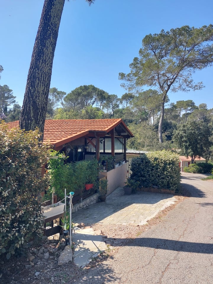 Chalet Avec Jardin - Roquebrune-sur-Argens