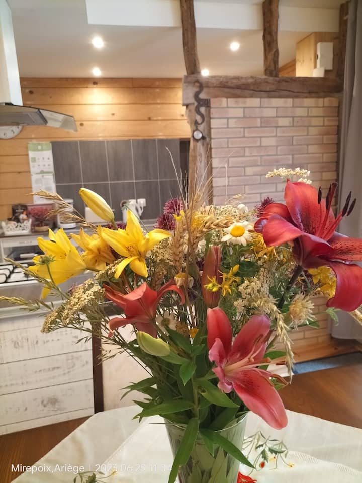 Petite Maison Agréable - Mirepoix