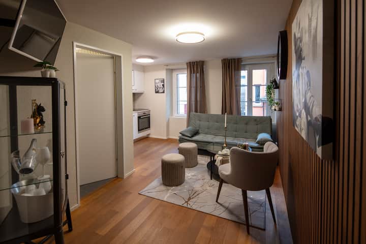 Welcome Apartments Luzern - Apartment Standard - Lucerne