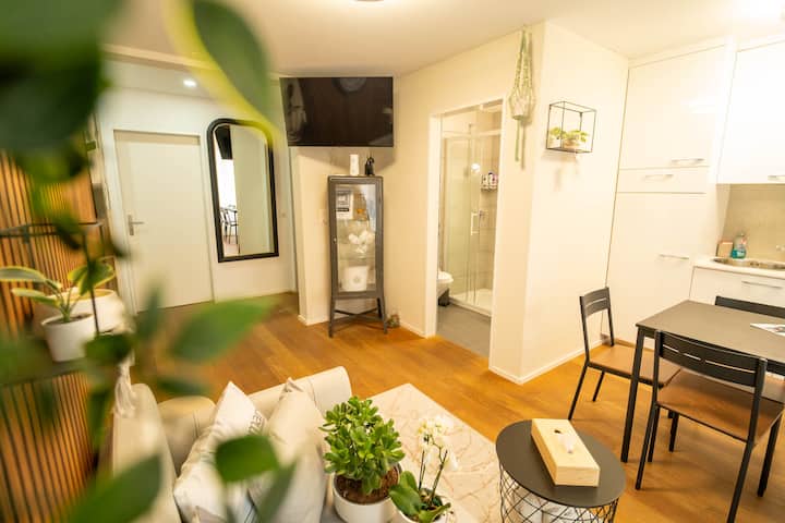 Welcome Apartments Luzern - Apartment Standard - Lucerna