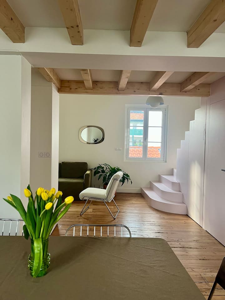 T1 Bis Lumineux Proche Du Centre - Saint-Jean-de-Luz