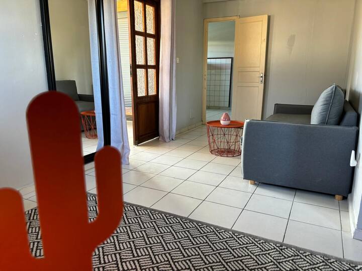 Le Cactus Spacieux Appartement à Mamoudzou - Mamoudzou