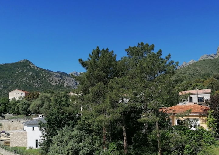 Joli Studio Vue Montagne - Corte