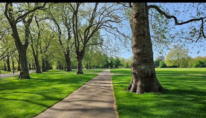 Tropical Room - London, UK